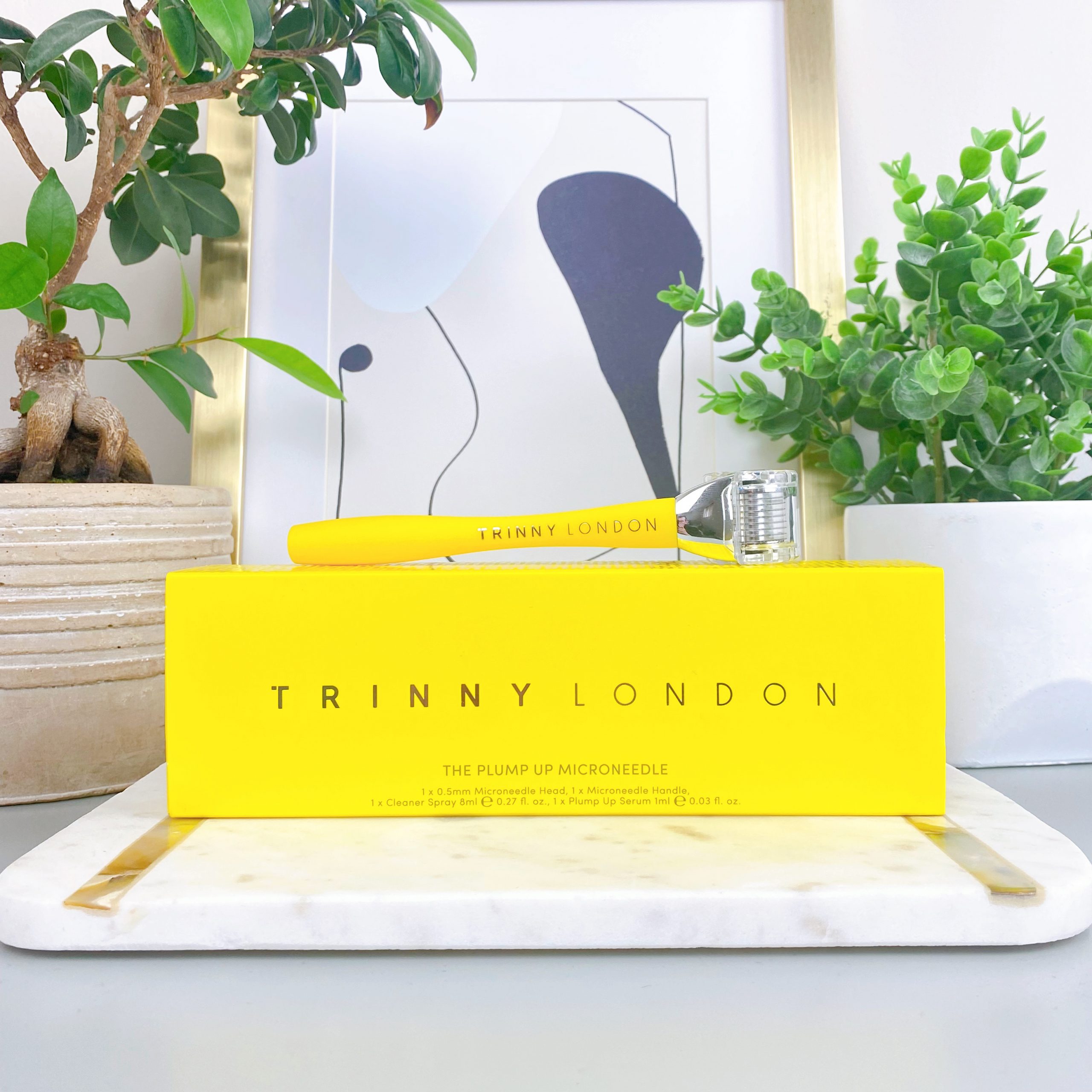 Trinny London Plump Up Microneedle Tool Review - Skint Skincare