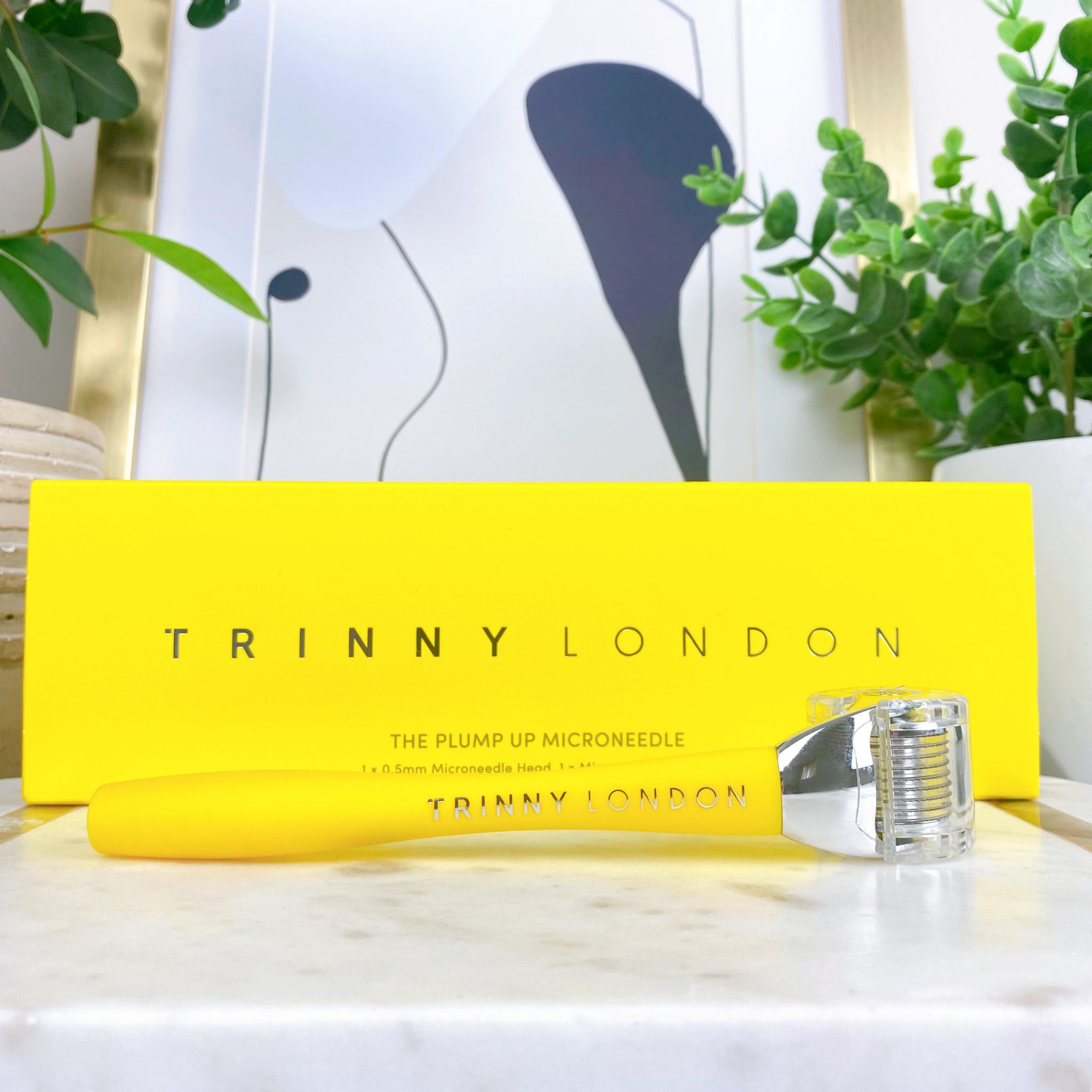 Trinny London Plump Up Microneedle Tool Review - Skint Skincare
