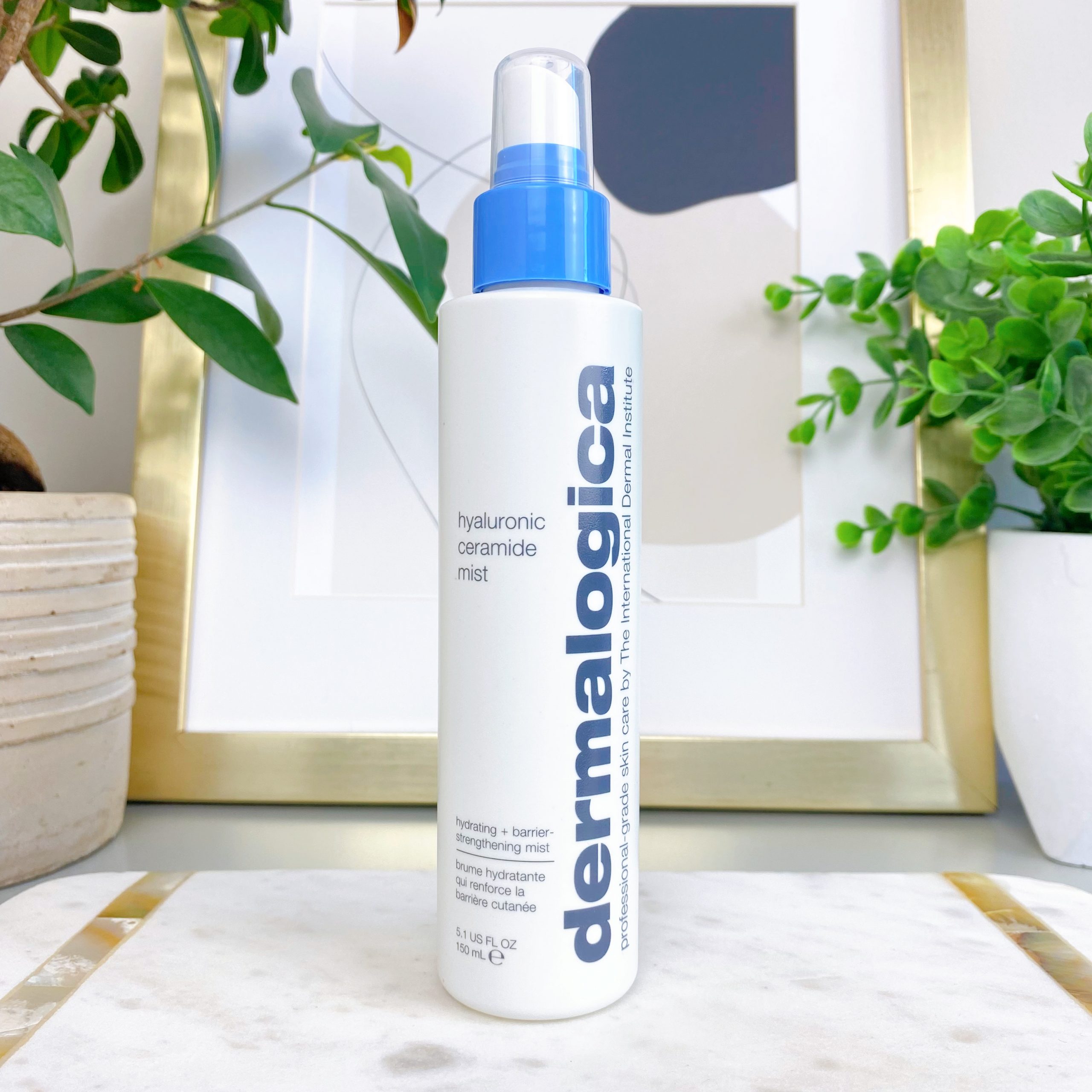 Dermalogica Hyaluronic Ceramide Mist Review - Skint Skincare