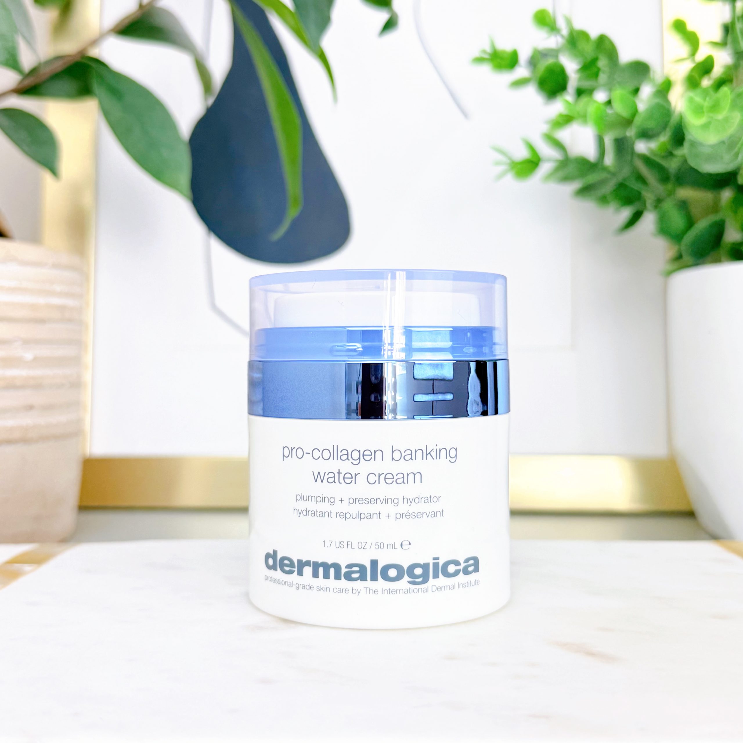 Dermalogica Pro-Collagen Banking Water Cream Review - Skint Skincare
